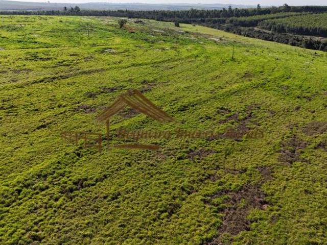 Sitio a venda com 12,5 alqueires na região de Botucatu SP