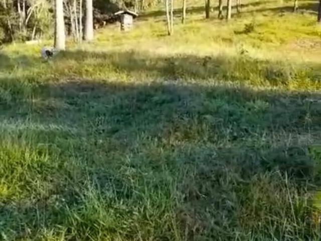 Sítio à venda com 16 hectares – Região do Rio Manos | Cunha – SP