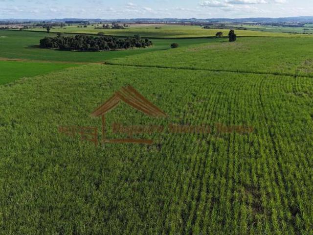 Sitio a venda com 24,5 alqueires na região de Tatuí SP