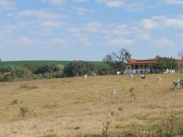 SÍTIO À VENDA com 28 Alqueires entre Araçoiaba da Serra e Capela do Alto/SP