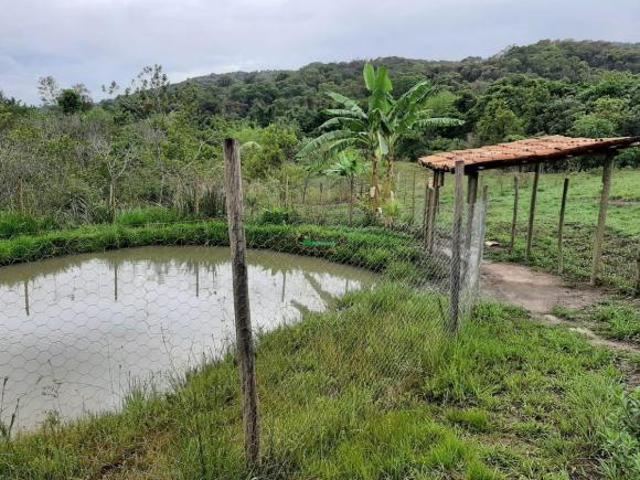 Sitio à venda com 2,5 hectares 25.000 m² Passa Tempo/MG