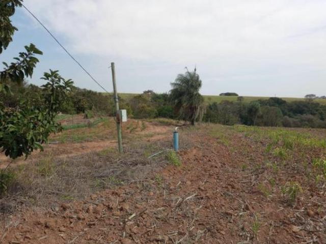 SÍTIO Á VENDA COM ÁGUA, 20.000 M2 em Artur Nogueira