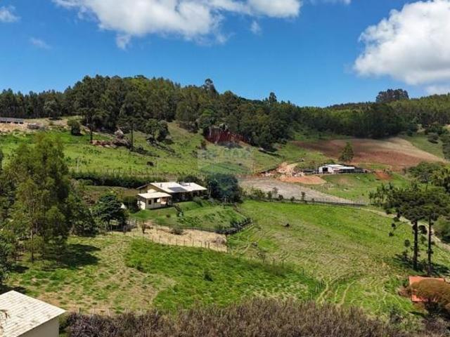 Sítio à venda de porteira fechada em Pedra Bela SP