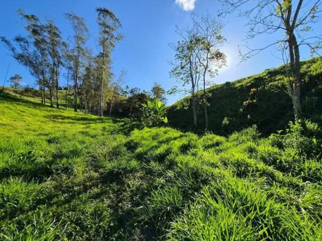 Sítio à Venda de 24.000m2 | Imobiliária em Santo Antônio do Pinhal