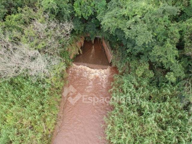 SÍTIO A VENDA DE 65.400 METROS EM ALFREDO GUEDES