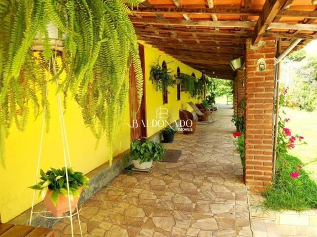SITIO A VENDA EM MUNHOZ MG 15 HECTARES 150.000 METROS 12 MINAS DAGUA