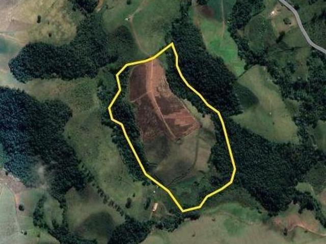 Sítio à venda em Maria da Fé MG, bairro Reserva: 145.000,00 m² de área para investimento!