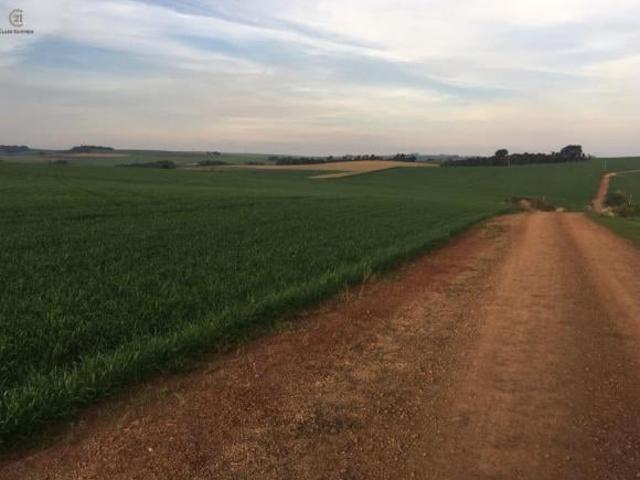Sítio à venda em Marilândia do Sul, Centro, com 200 m²