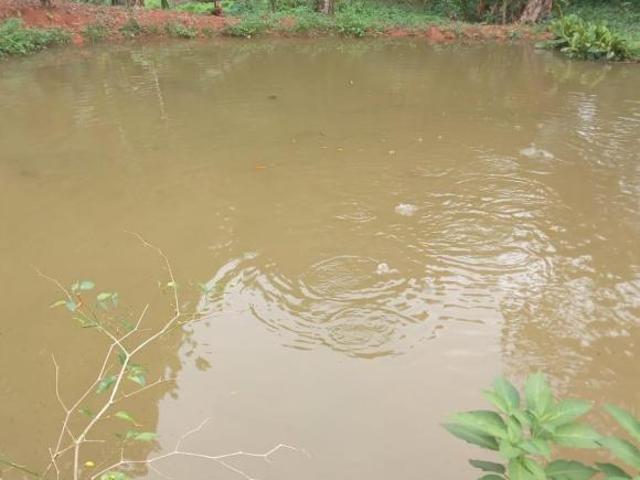 SÍTIO À VENDA EM MIRACATU COD: 5638 F: 11 97302 9229 CESAR