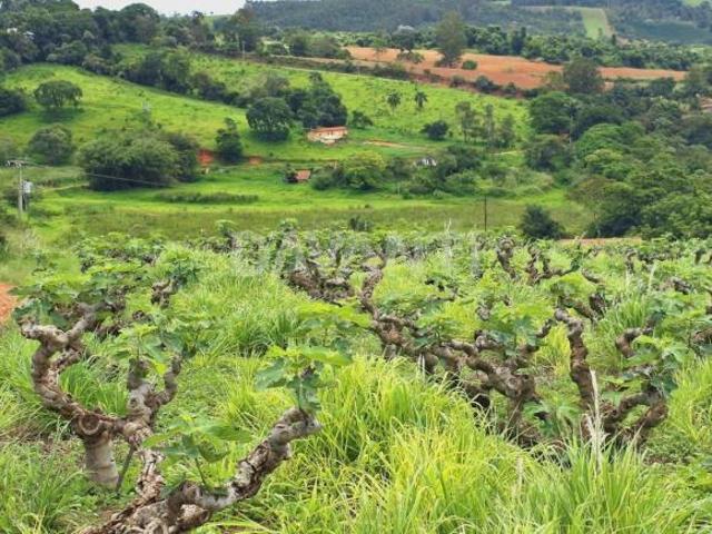 Sítio à venda em Morungaba na Davanti Imóveis