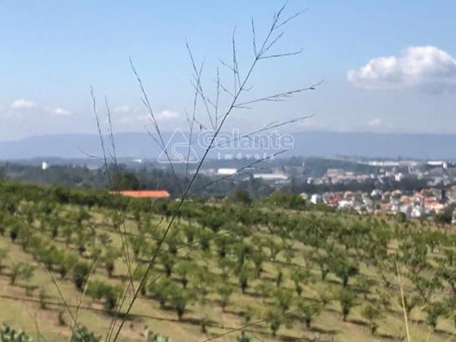 sítio à venda em Nova Vinhedo