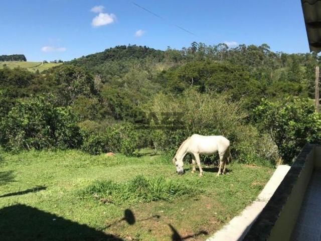 Sítio à venda em Atibaia Iara