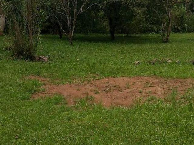 Sítio à Venda em Alexandra – PR | 4.000 m² de Tranquilidade e Natureza