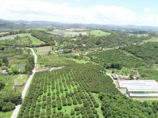 Sítio à Venda em Biritiba Mirim com Produção de Caquis