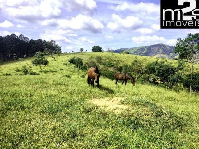 Sítio à venda em Cunha SP, bairro Macuco: 15 alqueires com clima frio, vista da serra, cachoeira e n