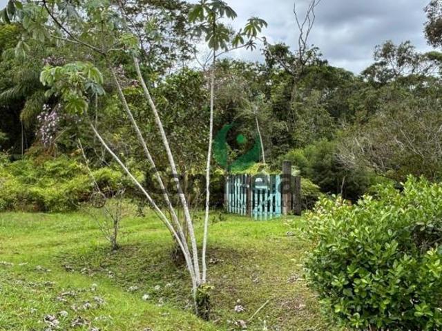 Sítio à venda em Cananéia SP, no bairro Iririaia, com 39,8 hectares!