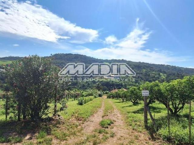 sítio à venda em Chácaras Alpina