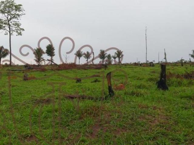 Sítio à venda em Comodoro, Zona Rural, com 50 hectares