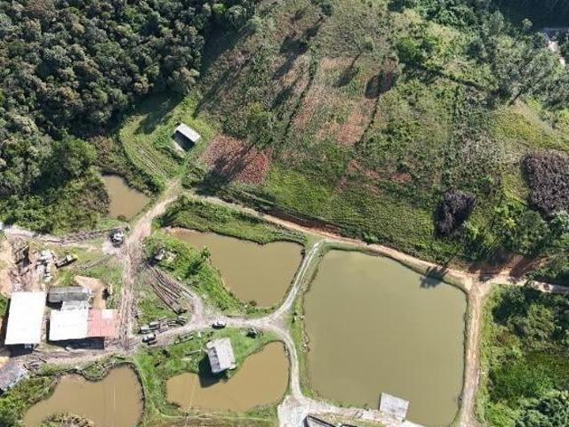 Sítio à venda em Embu Guaçu SP com 7,00 alqueires de área Imperdível oportunidade!