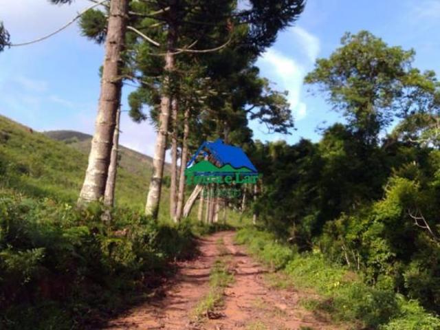 Sítio à venda em Franceses, Carvalhos, MG