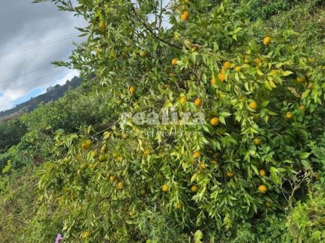 SITIO À VENDA EM GRAMADO