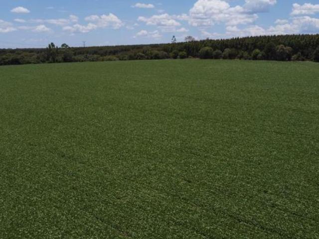 Sítio à venda em Itapetininga SP: 411.400,00 m² de área na Área Rural de Itapetininga!