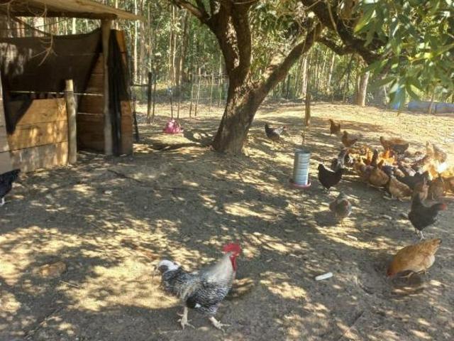 Sítio à venda em Itapetininga SP: 2 quartos, 2 salas, 2 banheiros, 2 vagas de garagem e 152.218,00 m