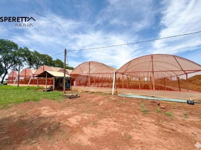 Sítio à Venda em Itápolis SP 48.400m² com Tanques de Peixe Estufas Irrigadas 2 Casas Poço Artesiano