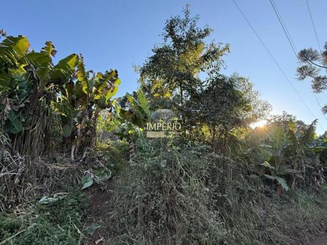 Sítio à venda em Igrejinha RS, bairro Três Irmãos, com 1 hectare de área!