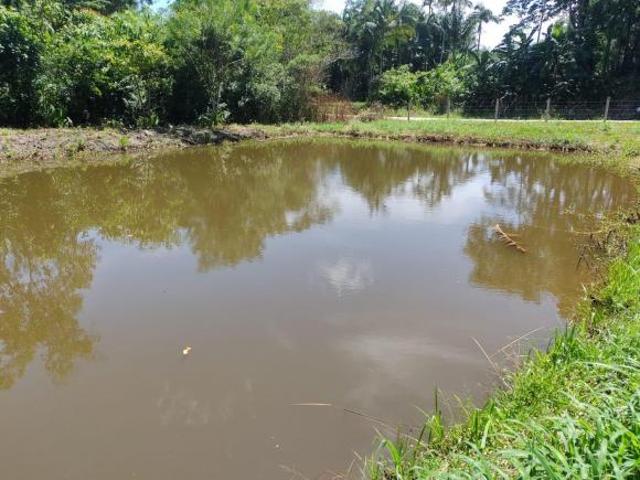 Sítio Á Venda em Iguape SP, com 3,3 hectares, Lagos e Nascente