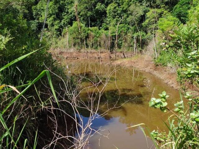 Sítio à Venda em Iguape SP com 5 alqueires, plantações, nascentes, ribeirão!