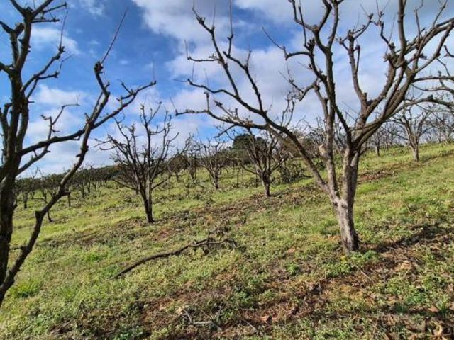 Sítio à venda em Indaiatuba, Colinas do Mosteiro de Itaici, com 93000 m²
