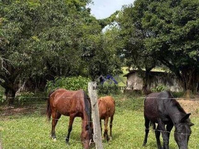 Sítio à Venda em Jundiaí | 22 Hectares de Natureza, Lazer e Potencial Turístico