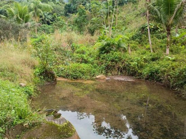 Sítio à Venda em Juquiá com 36.000 m2, riacho e lago