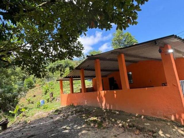 SÍTIO À VENDA EM JUQUIÁ,SP COD: 6186 f: 11 97302 9229 CESAR