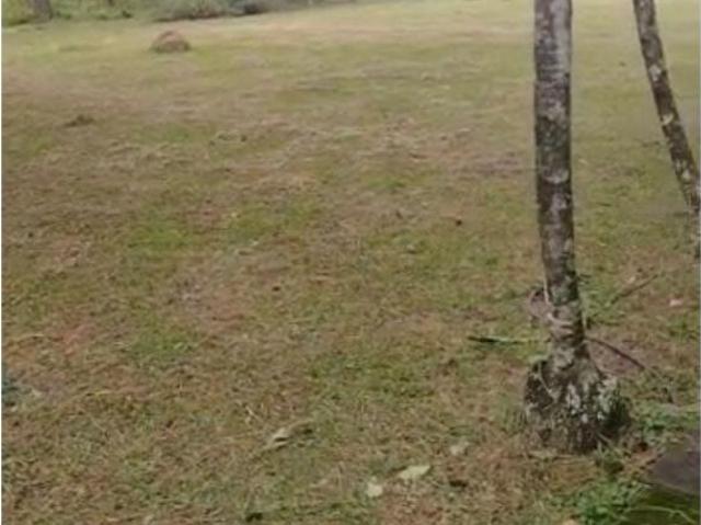 sítio à venda em Jardim Panorama