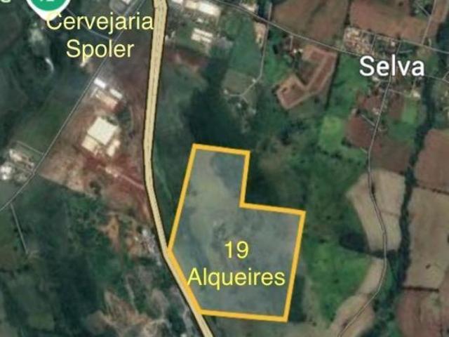 Sítio à venda em Londrina, Conjunto Habitacional Jamile Dequech, com 3 quartos, com 19 alqueires