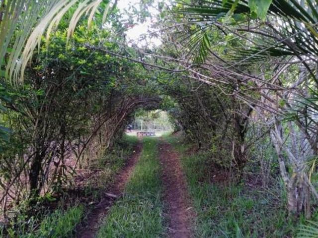 SÍTIO À VENDA EM PIEDADE DOS GERAIS /MG