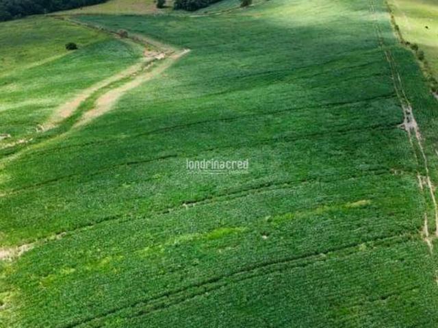Sítio à Venda em Rural, Arapoti PR