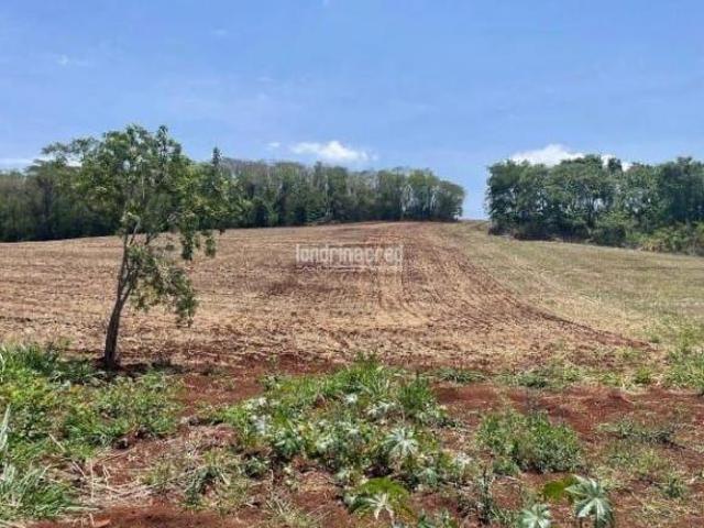 Sítio à Venda em Rural, Uraí PR