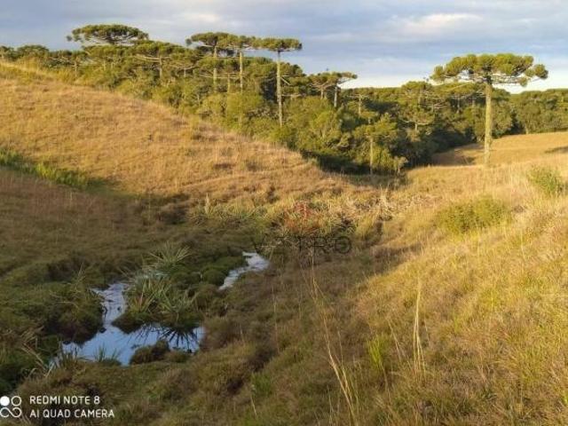 Sítio à Venda em São Francisco de Paula!