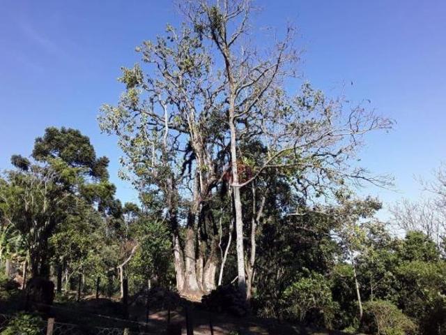 Sítio à Venda em São Francisco de Paula!