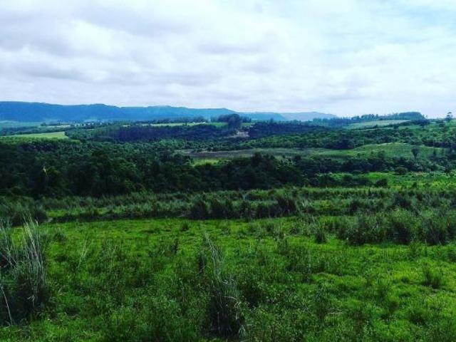 Sitio a venda em São Pedro, bairro Tanquan