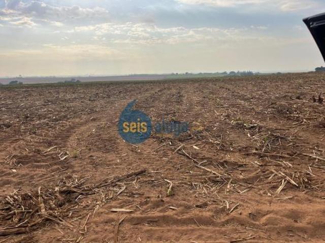 Sítio à Venda em Santo Antônio do Sapezeiro por R$3.000.000