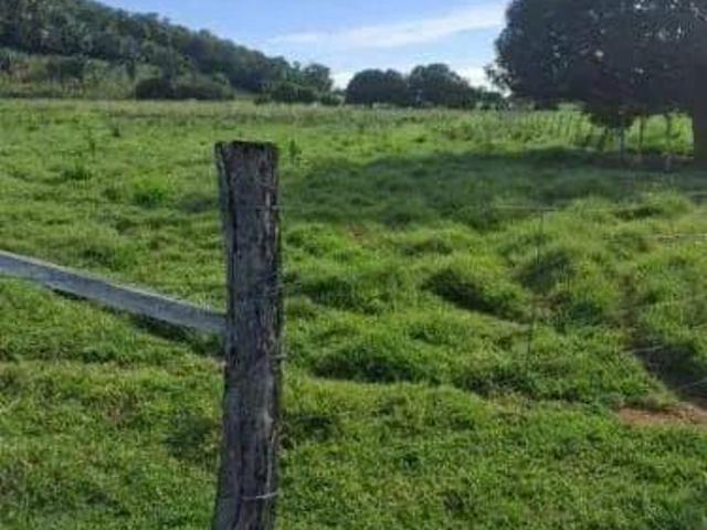 Sítio à Venda em Santo Antônio de Leverger – Agrovila das Palmeiras | 25 Hectares | Estrutura Comple