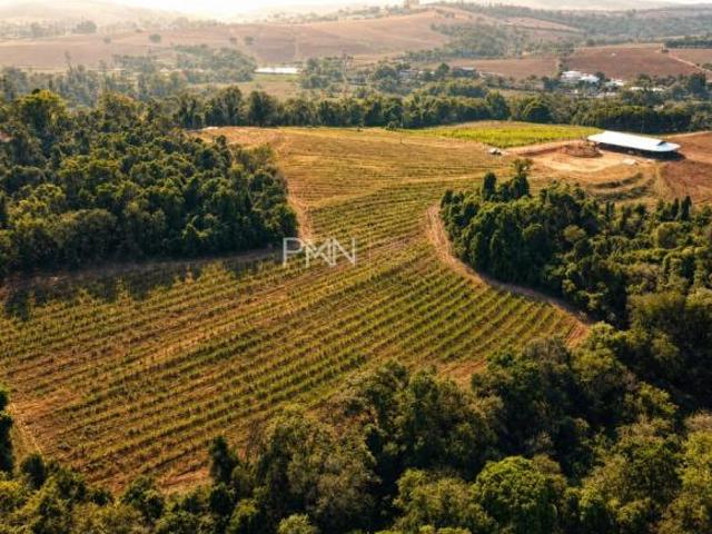 Sítio à venda em Santo Antônio de Posse, Área Rural de Santo Antônio de Posse, com 9.59 hectares