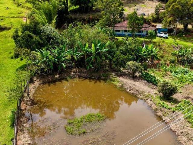SÍTIO A VENDA EM TOLEDO MG