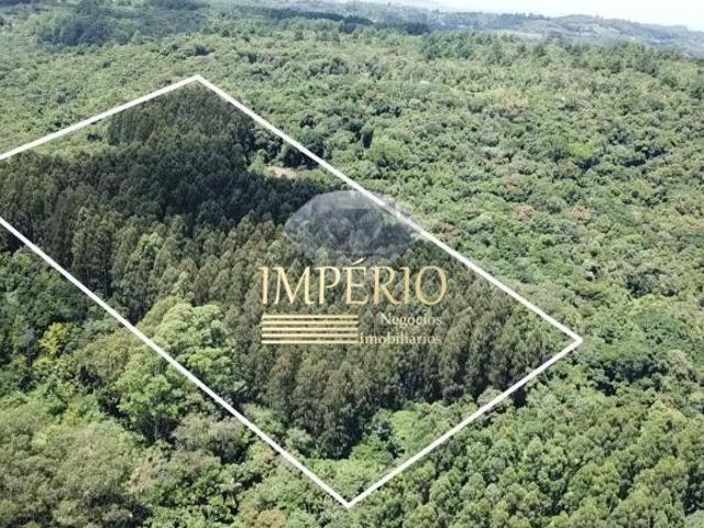 Sítio à venda em Três Coroas RS, bairro Linha Café: o refúgio perfeito para viver em harmonia com a