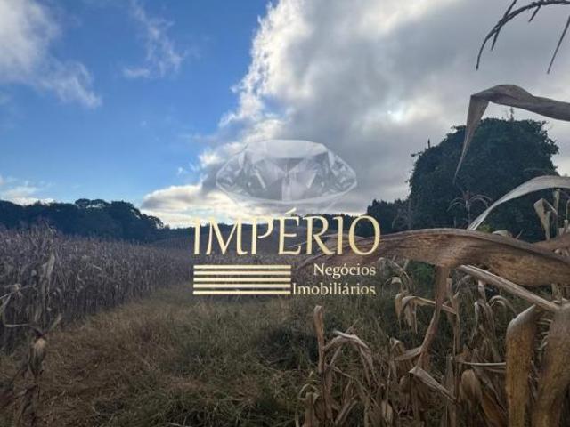 Sítio à venda em Três Coroas RS, bairro Serra Grande, com 10 hectares de área!