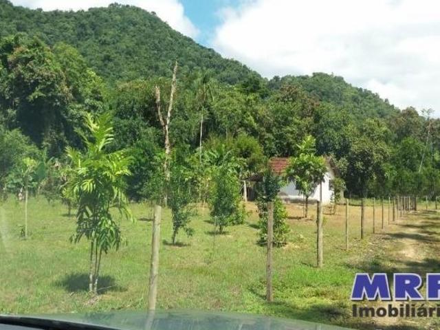 Sítio à venda em Ubatuba, bairro Marafunda. Região Central. 382 Hectares